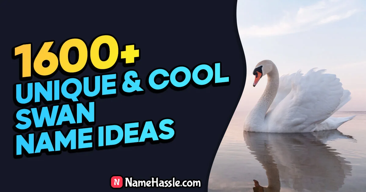 1785+ Cool And Catchy Swan Names Ideas (Generator) 2026