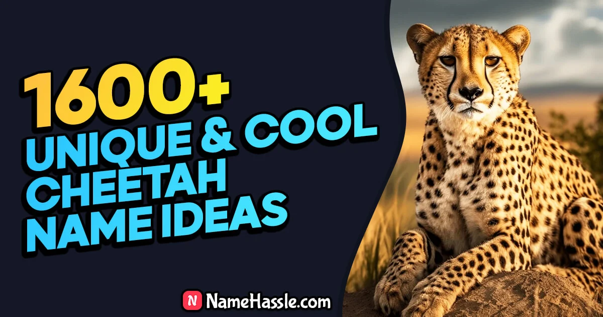 1600+ Catchy & Funny Cheetah Names Ideas (Generator) 2025