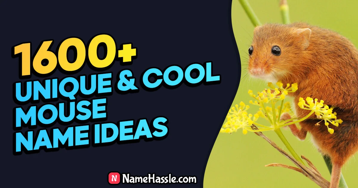 1925+ Cool And Catchy Mouse Names Ideas (Generator) 2025