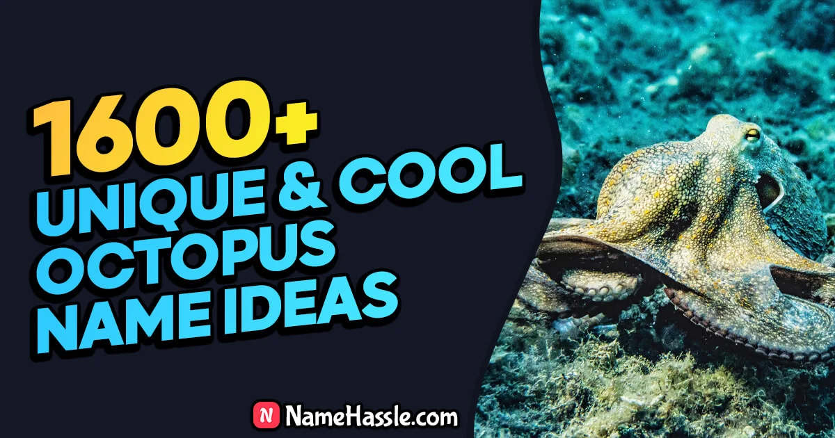 1680+ Cool And Catchy Octopus Names Ideas (Generator) 2025