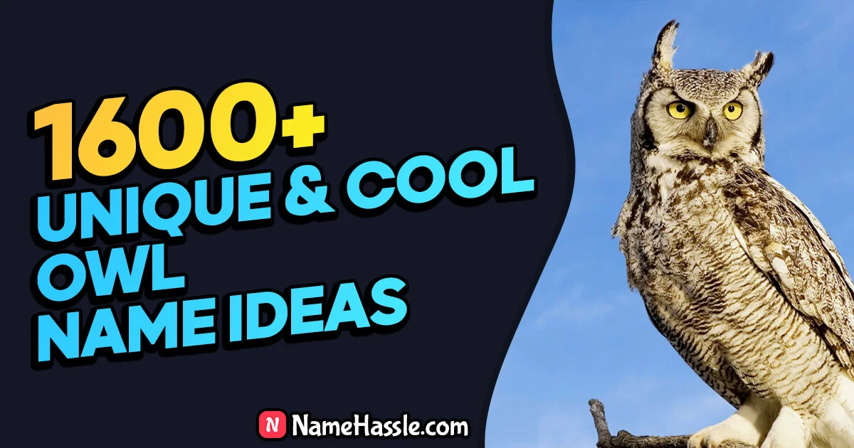 1690+ Cool And Catchy Owl Names Ideas (Generator) 2025