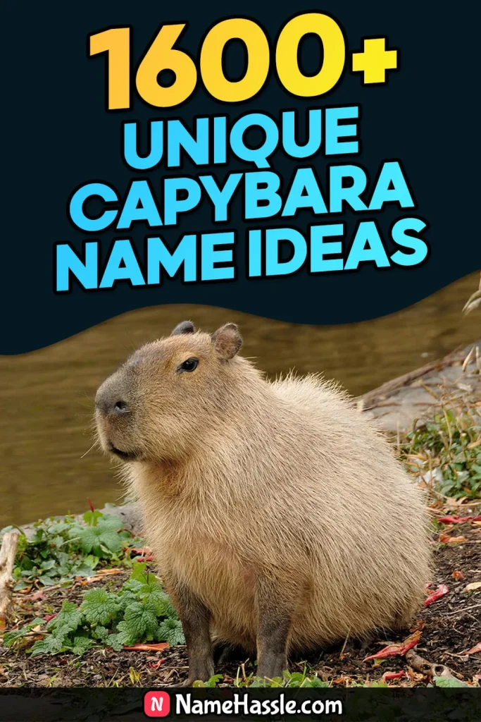 1675 Cool And Funny Capybara Names Ideas Generator 2026