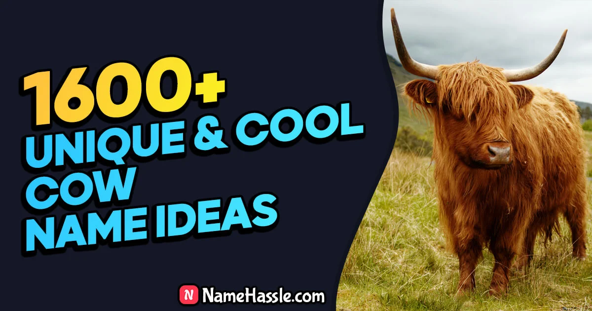 1880+ Cool And Funny Cow Names Ideas (Generator) 2025