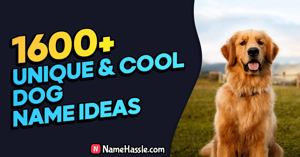 1855+ Cool And Funny Dog Names Ideas (Generator) 2026