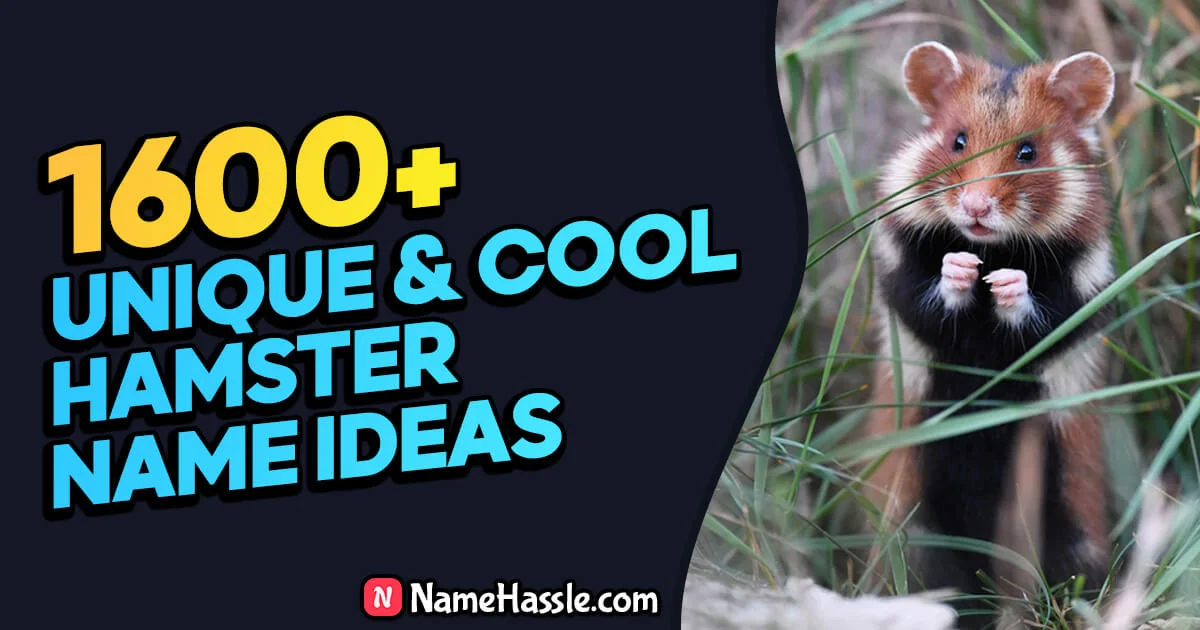 1890+ Cool And Funny Hamster Names Ideas (Generator) 2025