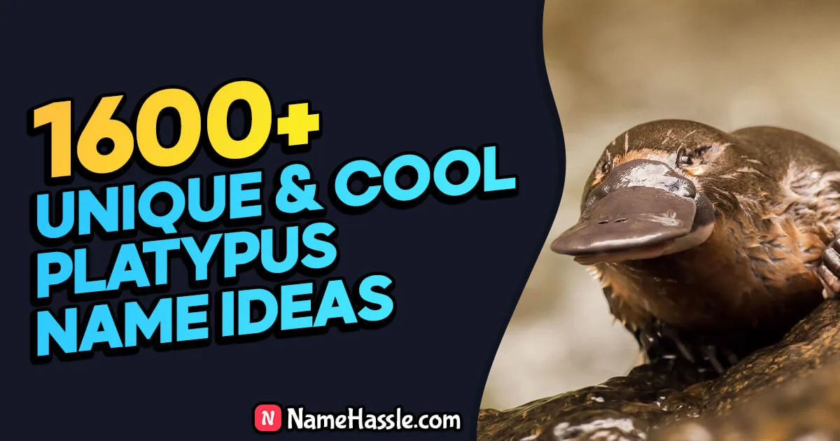 1865+ Cool And Funny Platypus Names Ideas (Generator) 2026