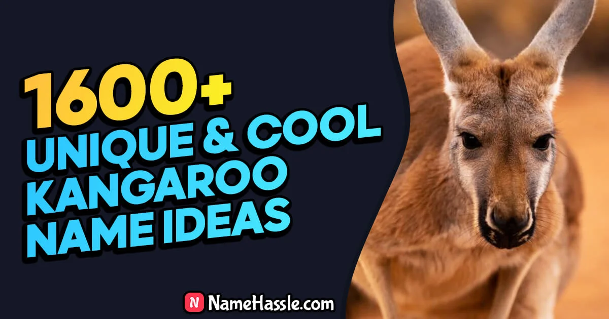1600+ Cool & Funny Kangaroo Names Ideas (Generator) 2026