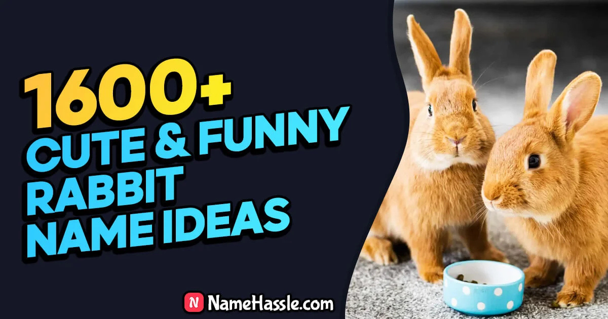 1600+ Cute & Funny Rabbit Names Ideas (Generator) 2025